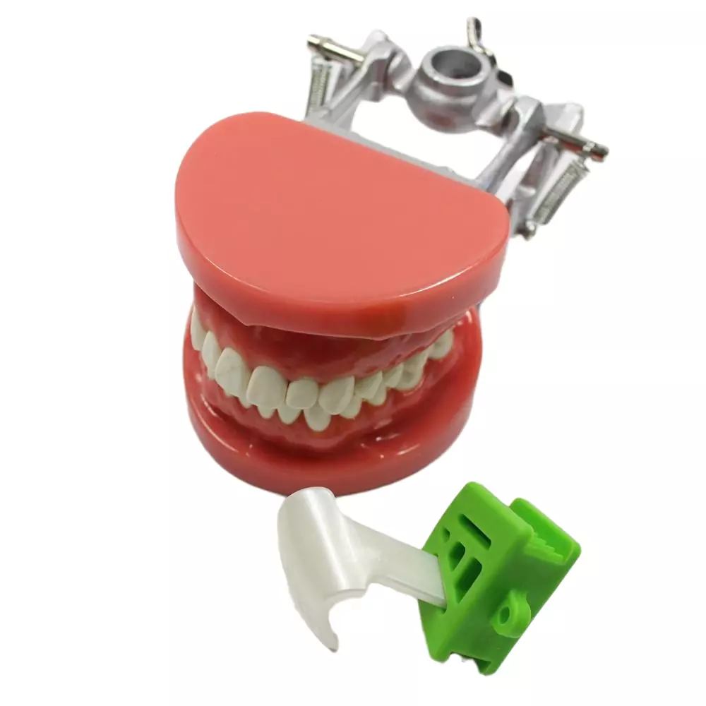 Premium Open Wide Disposable Mouth Prop | Skycare Dental